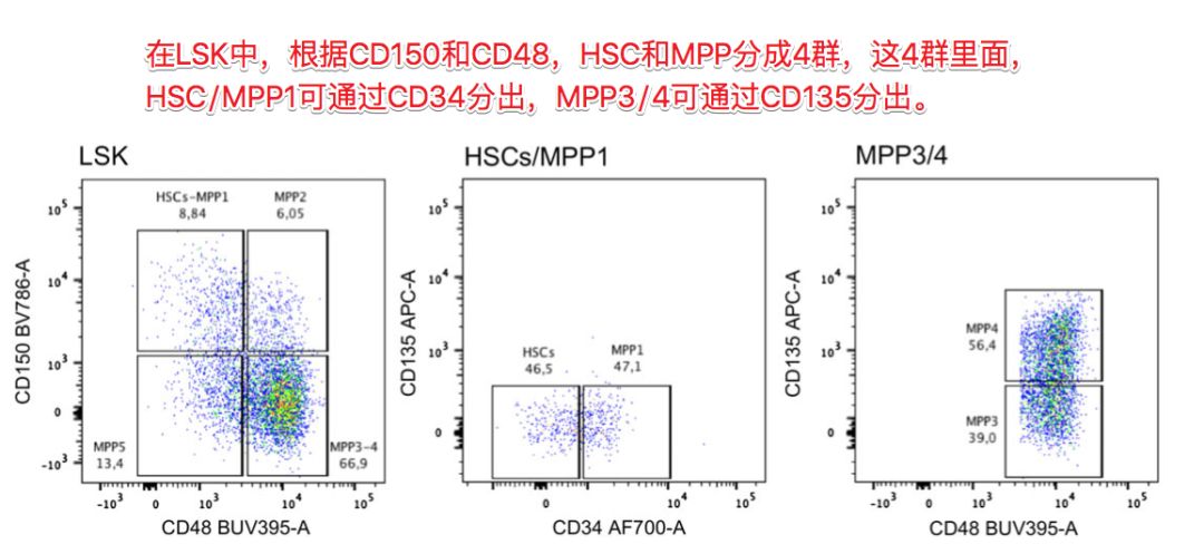 单管16参数方案同时检测CD45.1/2和可控绿色荧光蛋白表达鉴定小鼠造血干细胞和祖细胞_of