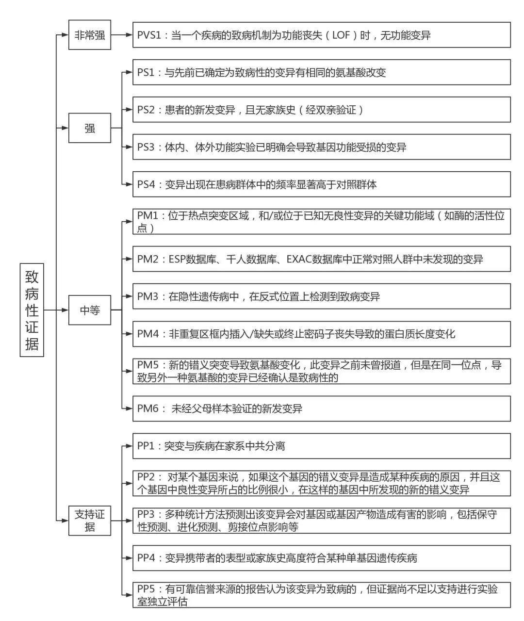 【小工具】ACMG评级指南_变异