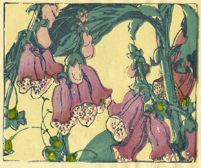 「艺术欣赏」设计师Mabel Royds经典作品：彩色木刻花卉作品-搜狐大视野-搜狐新闻