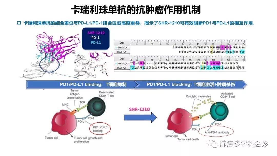恒瑞公司所生产的PD-1抗体—卡瑞利珠单抗-搜狐大视野-搜狐新闻