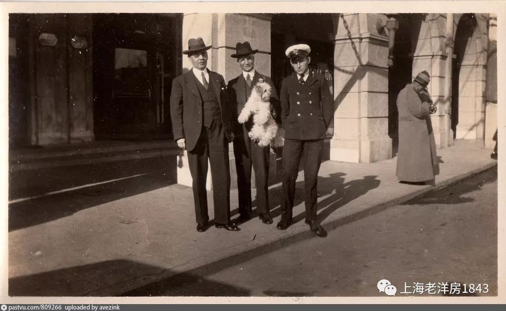 梧桐深处上海时光记忆，那年摩登公寓外侨名单、英文名..徐汇篇_设计