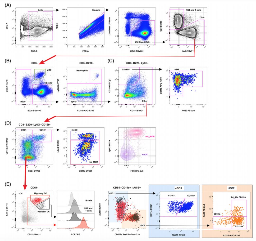 20色方案检测小鼠抗原递呈细胞（DC和巨噬细分亚群）_Flow