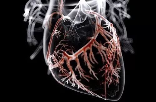 二尖瓣介入治疗：国产器械创新浪潮再起_瓣膜