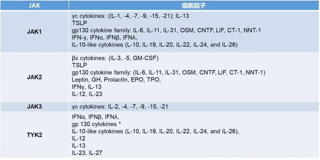 新通路启发新思路：差异化JAK通路选择带来JAK抑制剂不同优势_发挥作用