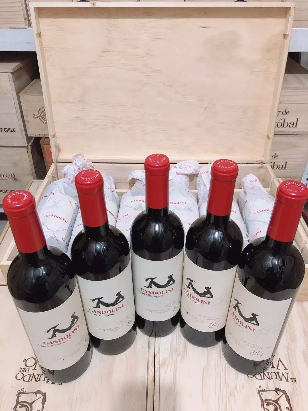 智利新酒王！它不是“浪得虚名”，也并非“空穴来风”，它用实力与传奇征服了世界顶级葡萄酒品鉴师：Gandolini甘多利尼级葡萄酒_酒庄