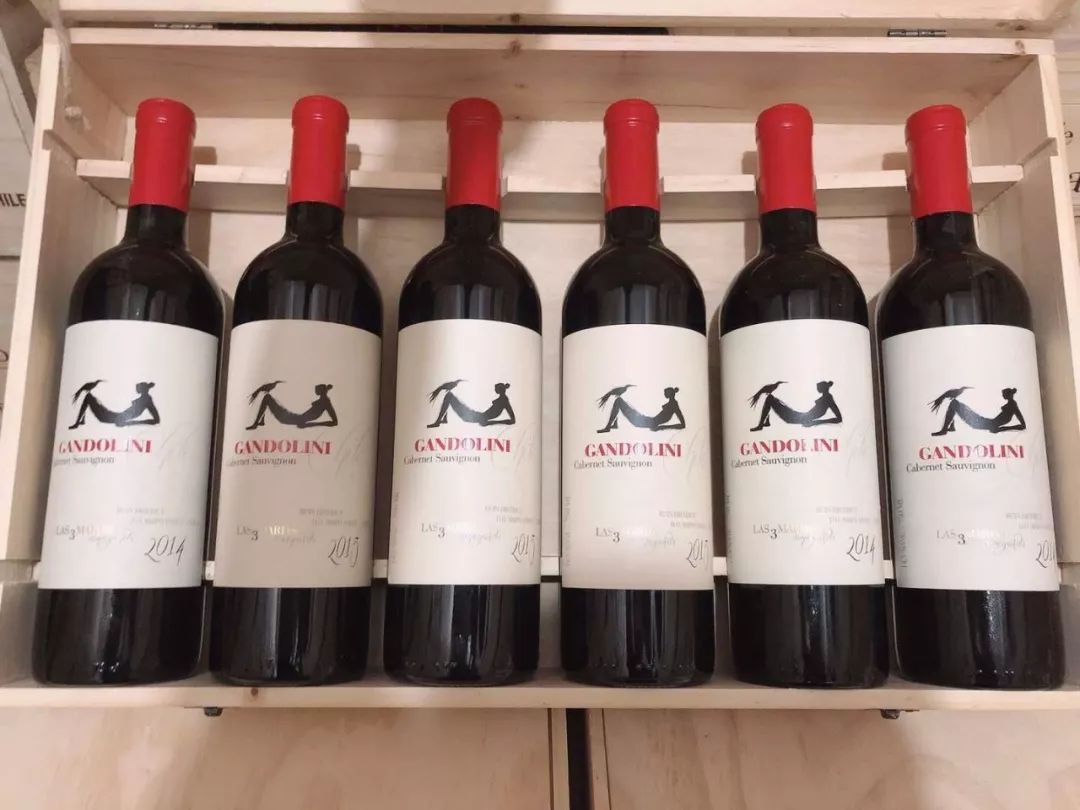 智利新酒王！它不是“浪得虚名”，也并非“空穴来风”，它用实力与传奇征服了世界顶级葡萄酒品鉴师：Gandolini甘多利尼级葡萄酒_酒庄
