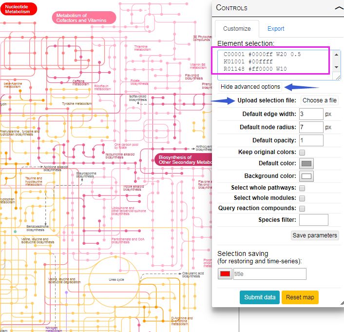 【工具贴】iPath3 通路展示（一）_ff
