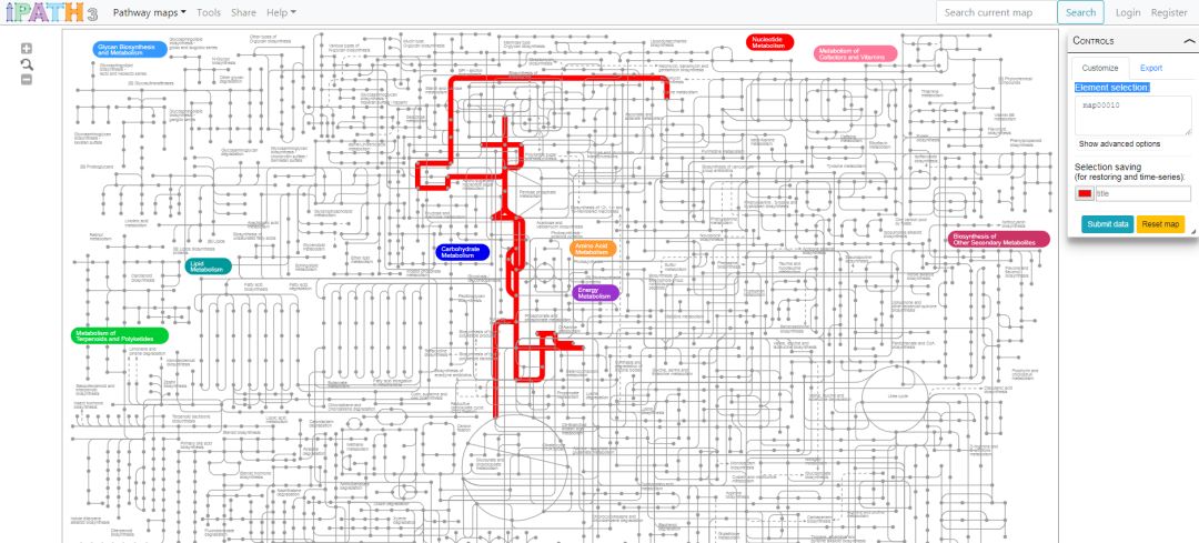 【工具贴】iPath3 通路展示（一）_ff
