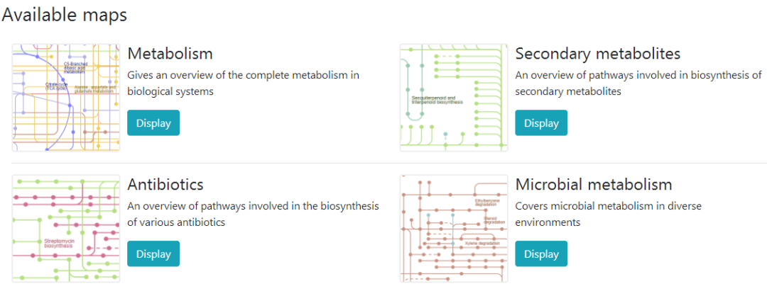 【工具贴】iPath3 通路展示（一）_ff