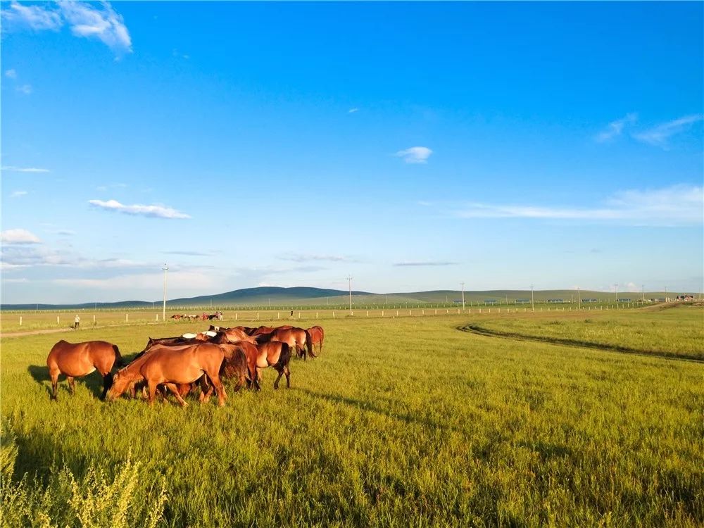 倒计时1个月！越野车穿越大草原，九月到呼伦贝尔去赏秋！_veer