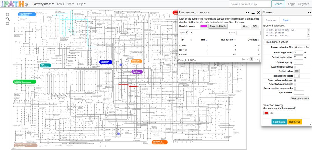 【工具贴】iPath3 通路展示（一）_ff