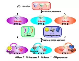 隙穴之窥-难以成药靶标修炼记_药物