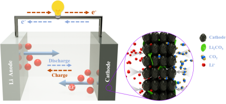 JMCA综述：针对新兴Li−CO2电池的催化材料和正极结构设计策略_反应