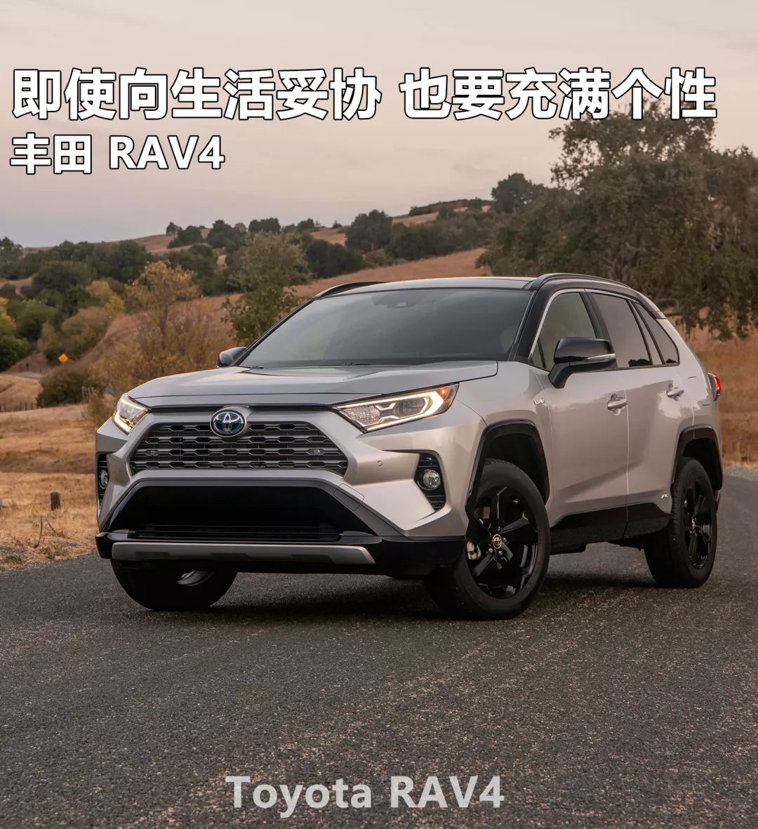 即使向生活妥协 也要充满个性 RAV4_搜狐汽车_搜狐网