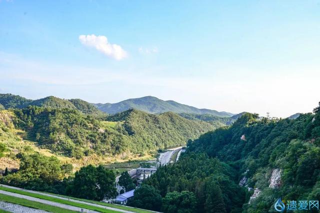 麻城到底有多美？生态环境有多好？进来看看你就知道了_林业