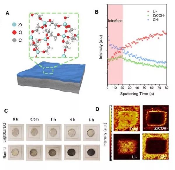 孙学良课题组Angew：分子层沉积Zircone作为高度稳定的锂金属界面膜_电池