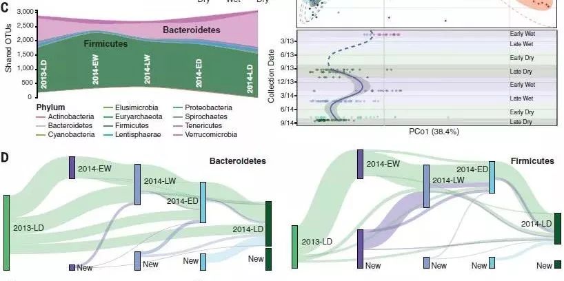 ggalluvial：冲击图展示组间变化、时间序列和复杂多属性alluvial diagram-搜狐大视野-搜狐新闻
