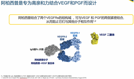 权威专家解读眼底疑难病新进展——DME、nAMD、PCV: 抗VEGF治疗方案应这样选择！_阿柏