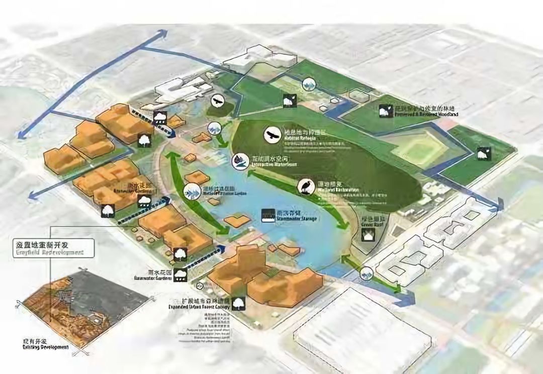 你还别不信，仅凭这些图标，我就能做出sasaki分析图！_格式