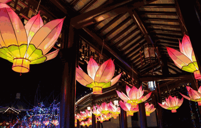 我们的节日·中秋 | 花好月圆,为爱团圆!_蓬蒙