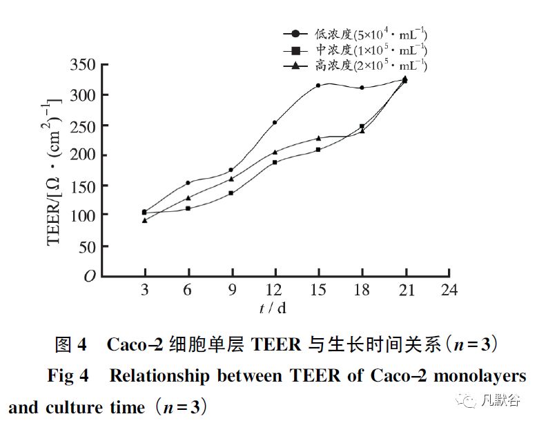 Caco-2 细胞体外吸收模型的建立及验证_批号