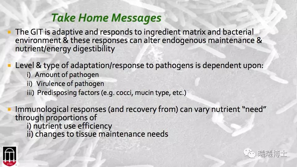 Todd Applegate教授：营养供给 vs. 屏障功能 | 肠道的两重功能如何平衡_周转