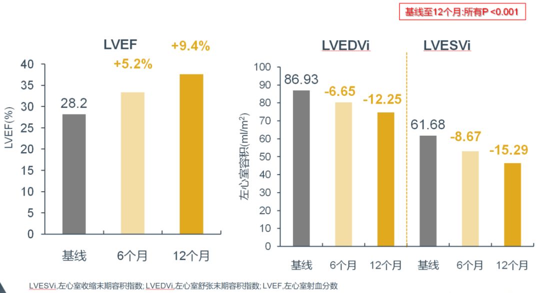 跟前沿，聊进展｜专家齐聚谈心衰新观点，经典LVEF分型或将成为旧观念?_分类