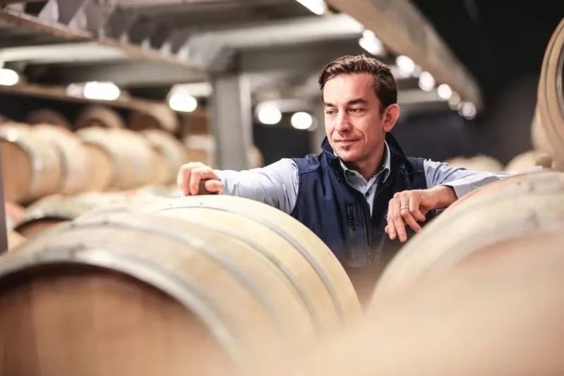 7部有生之年不可错过的良心葡萄酒纪录片，值得欣赏！_in