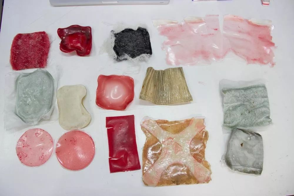 - BIOCOUTURE 微生物服_Suzanne