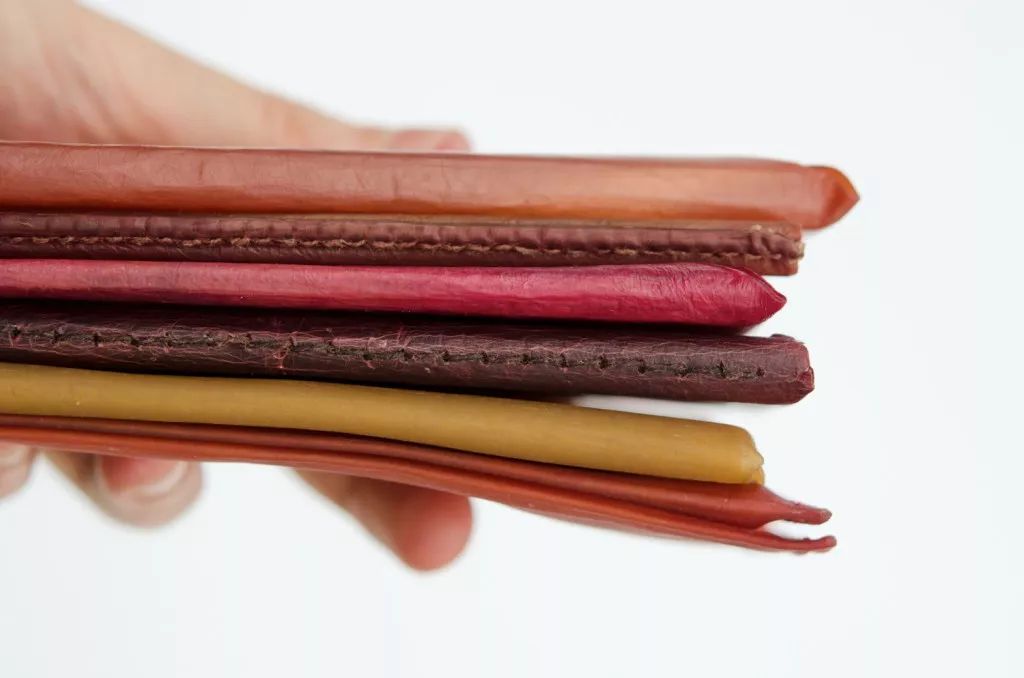 - BIOCOUTURE 微生物服_Suzanne