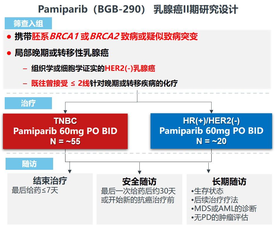 2019CSCO丨精准突破，开拓创新：百济神州PARP抑制剂Pamiparib乳腺癌Ⅱ期临床研究正在全国多中心开展_中国抗癌协会