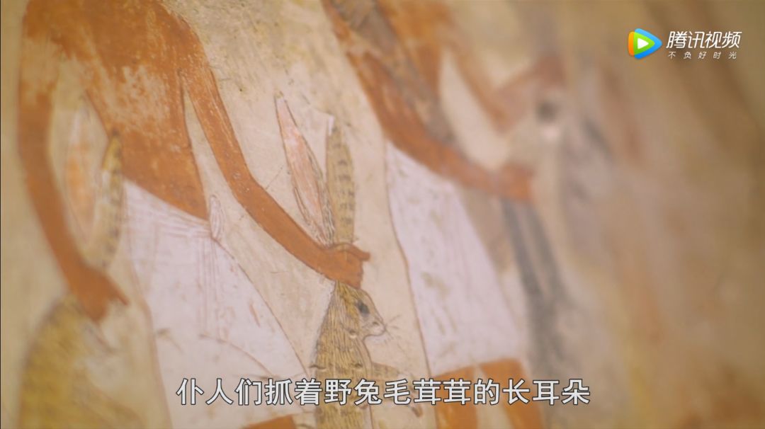 《古埃及的瑰宝》：尼罗河不朽的赞歌_纳尔迈