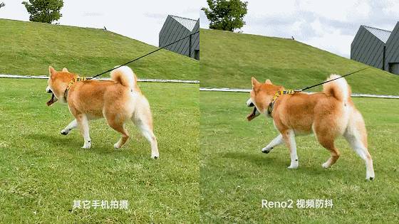 视频创作一站式服务，OPPO Soloop即录助你免去后期剪辑困扰_Reno