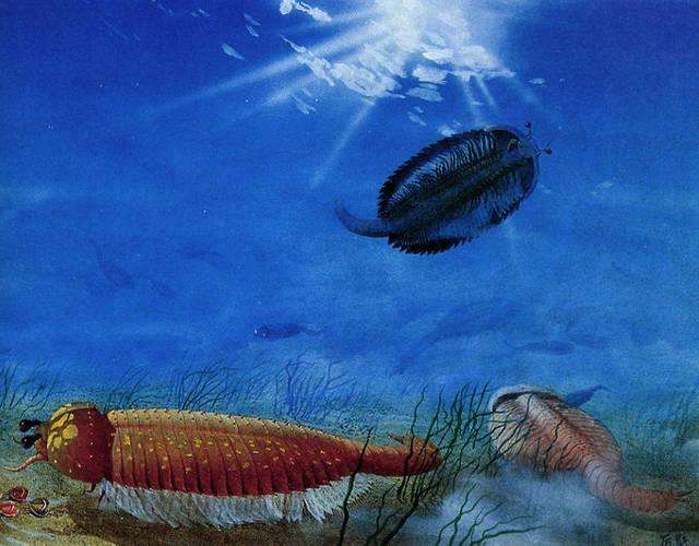 地球最早的居民是它们, 长相怪异有五只眼睛_动物