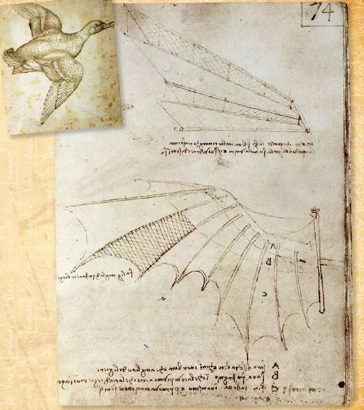 达·芬奇手稿公布于世，看后终于明白，为什么史上无人与之比肩！_研究