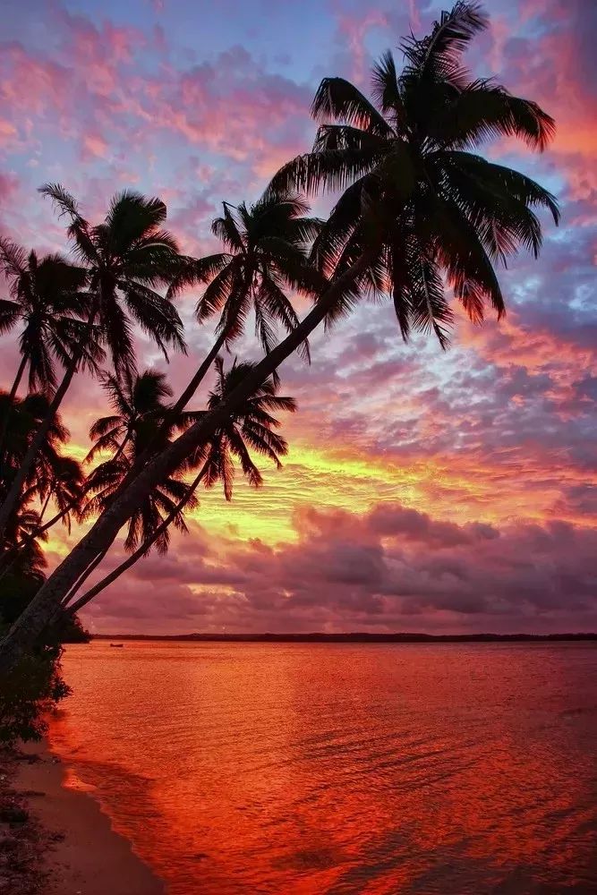 Tonga 汤加王国--神秘的国度_an