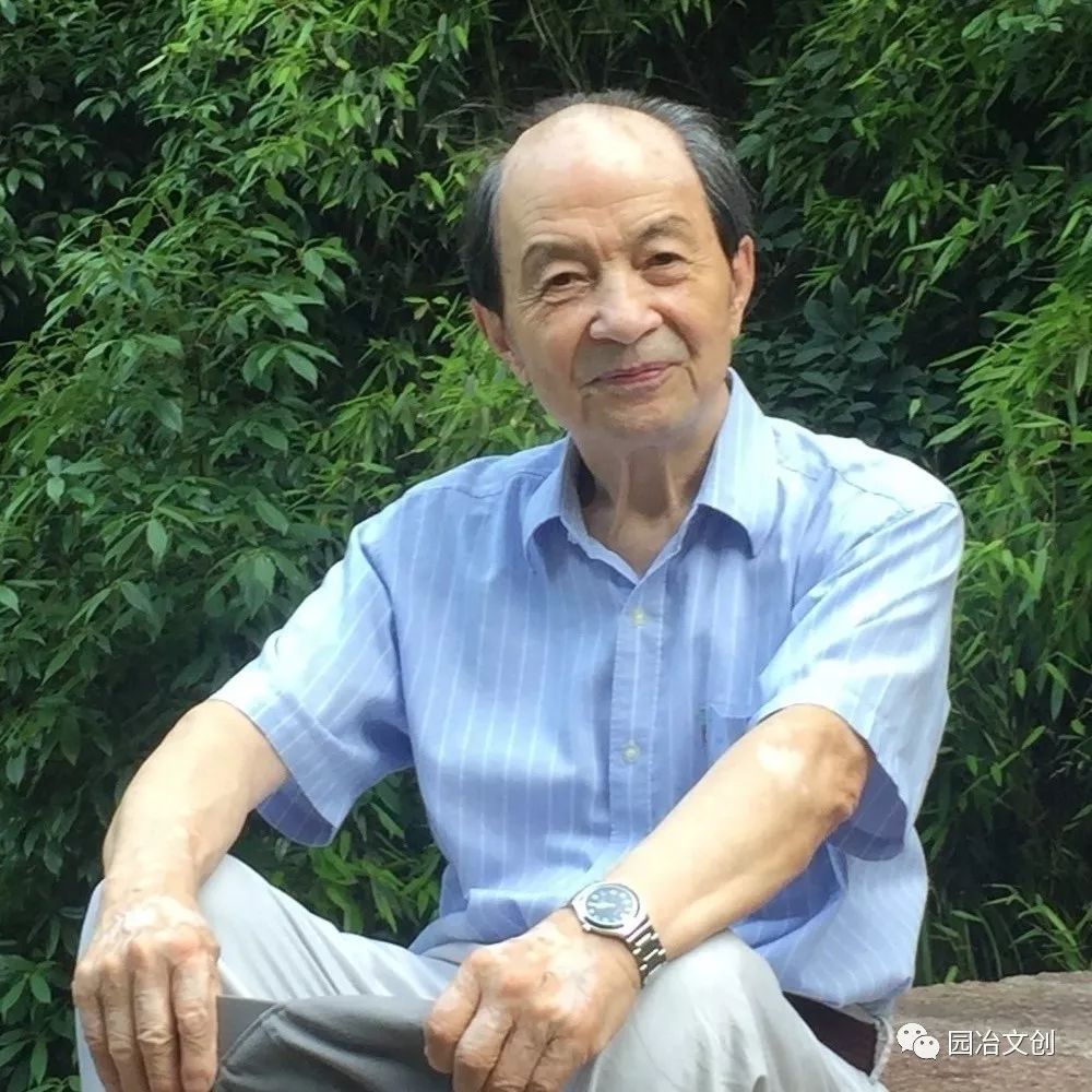 给我三天，让大师带你解读江南园林的营造密码-搜狐大视野-搜狐新闻