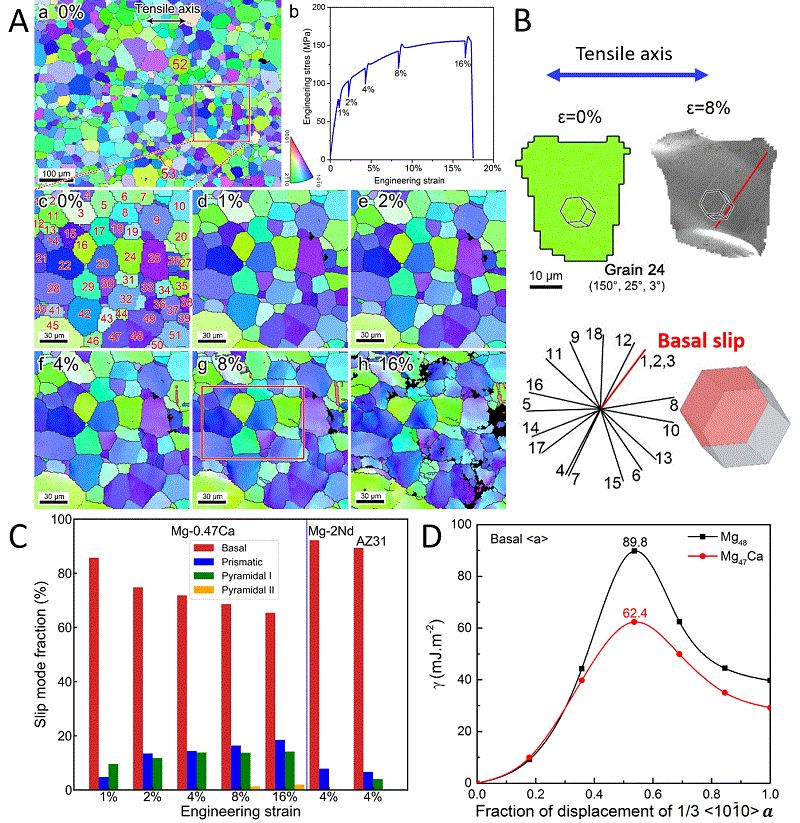 上海交大：原位EBSD研究镁合金变形_分析