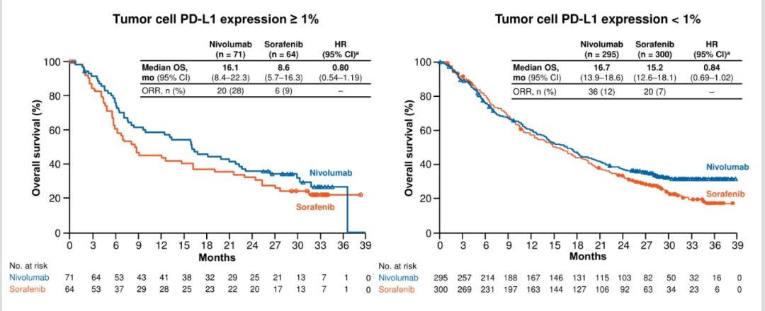 ESMO2019 | CheckMate 459重磅揭晓：虽为阴性结果，但纳武利尤单抗在晚期肝癌一线治疗中仍具前景_索拉非尼
