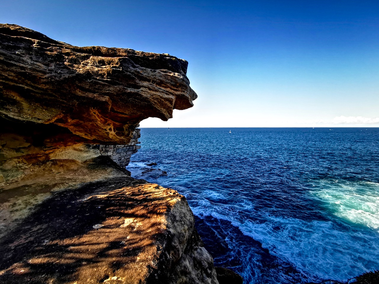 北秋南春，看看南半球悉尼春天的美景-搜狐大视野-搜狐新闻