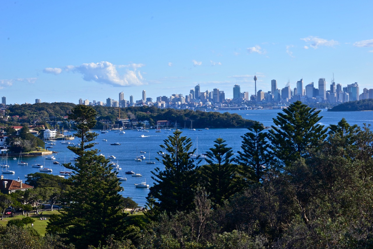 北秋南春，看看南半球悉尼春天的美景-搜狐大视野-搜狐新闻