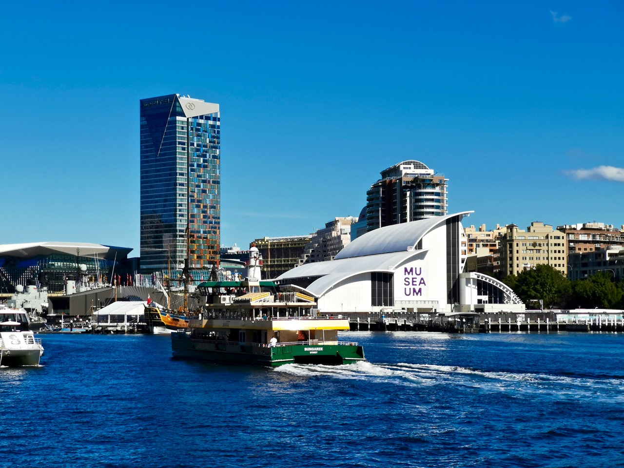 北秋南春，看看南半球悉尼春天的美景-搜狐大视野-搜狐新闻