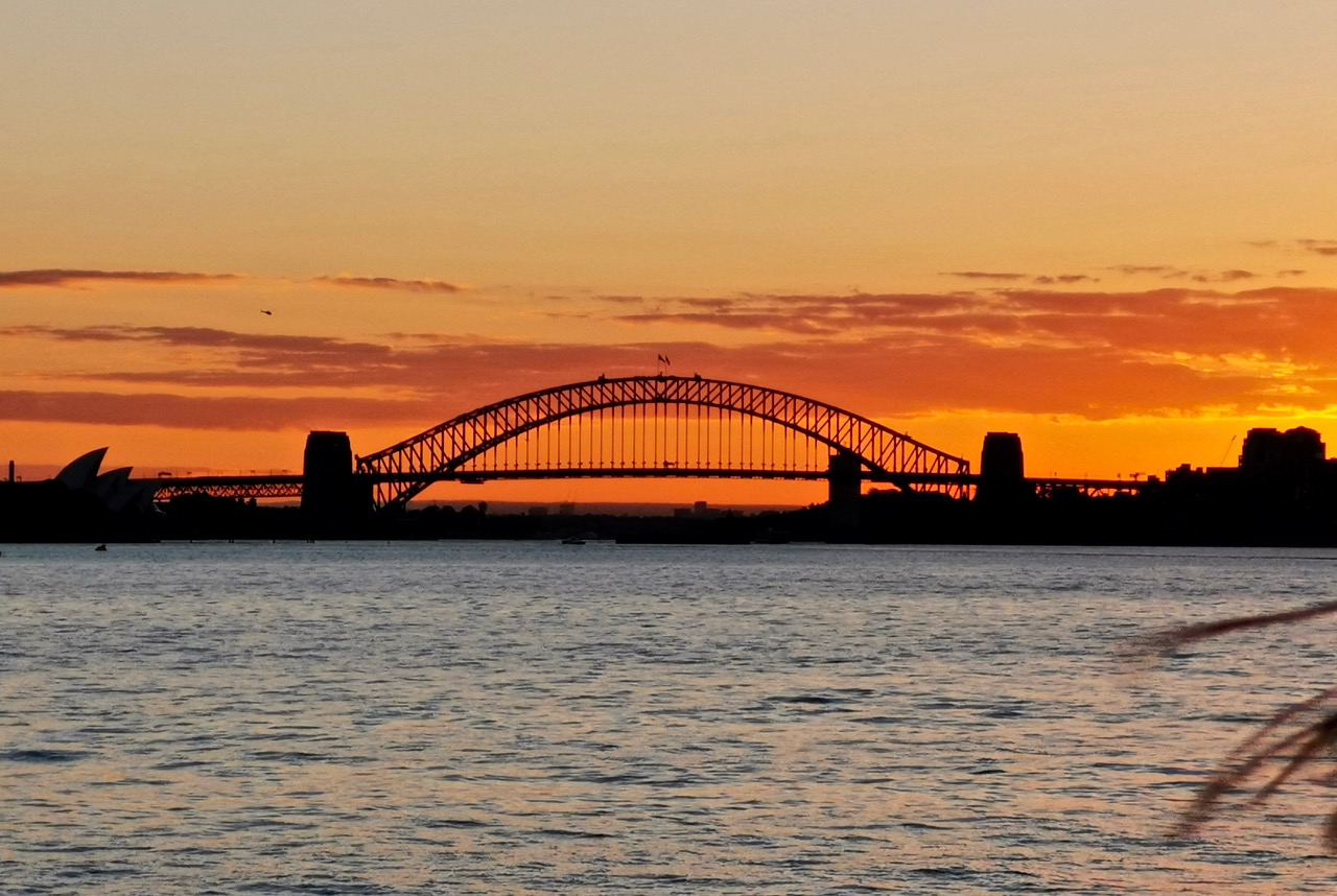 北秋南春，看看南半球悉尼春天的美景-搜狐大视野-搜狐新闻