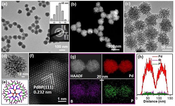 南师大刘犇ACS Nano： 用于高效电催化的三元PdBP合金介孔纳米球_贵金属