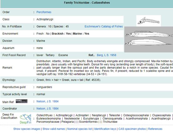 海洋科普（874）| 世界鱼类数据库(FishBase)，你值得拥有！_研究