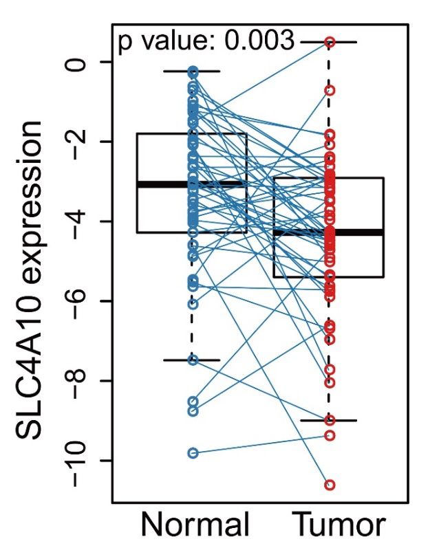 单细胞测序描绘肝癌微环境中的免疫图谱_肿瘤