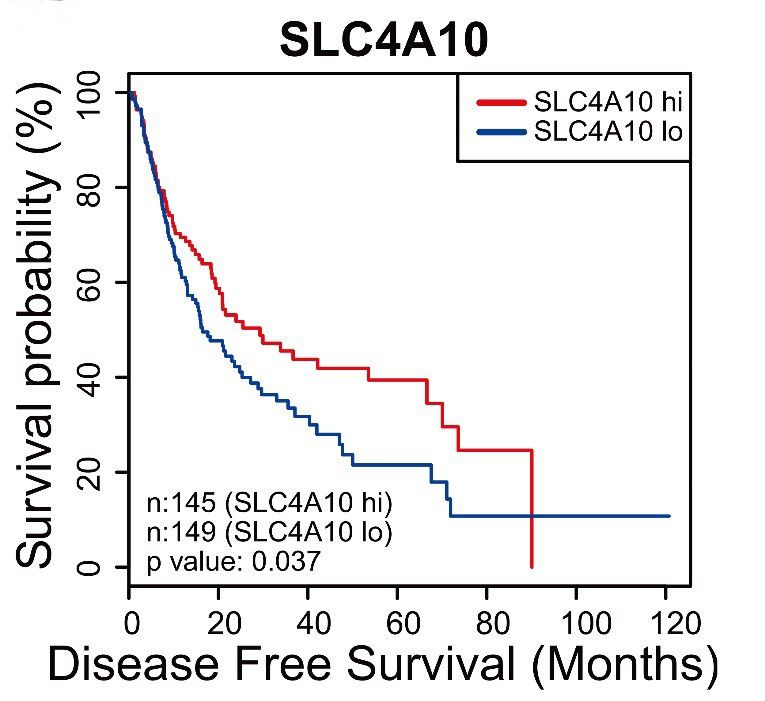 单细胞测序描绘肝癌微环境中的免疫图谱_肿瘤