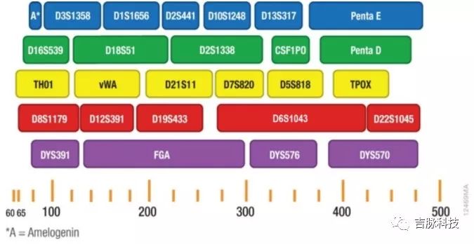 官宣！VersaPlex™ 27PY System已入国家数据库！_样本