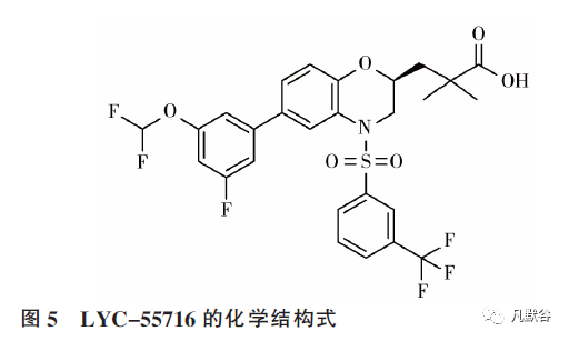 小分子肿瘤免疫治疗药物的临床研究进展_细胞