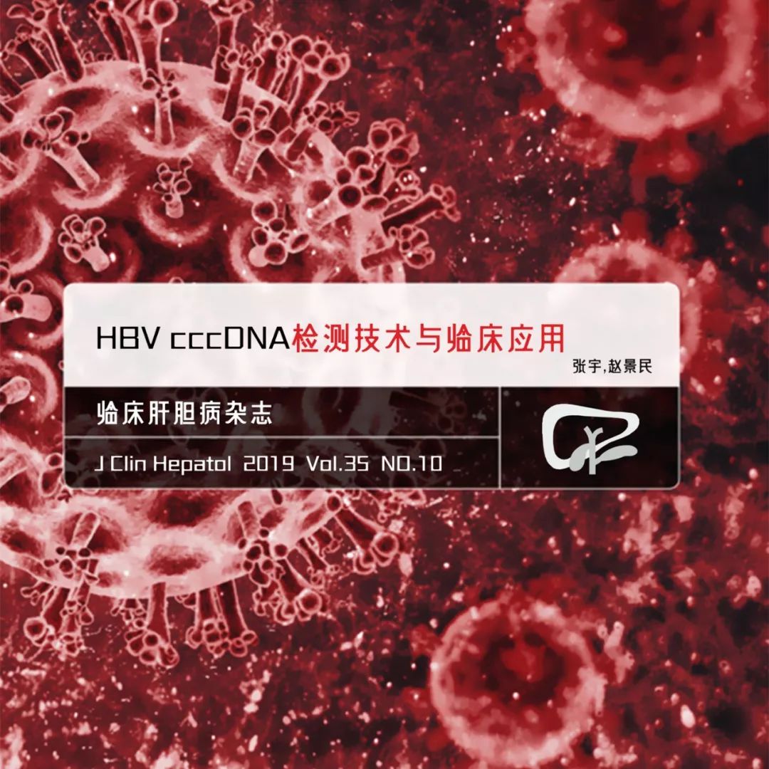 赵景民：HBV cccDNA检测技术与临床应用_rcDNA